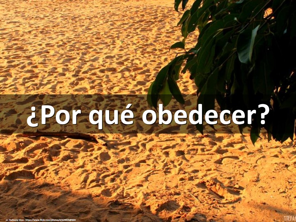 Por que obedecer