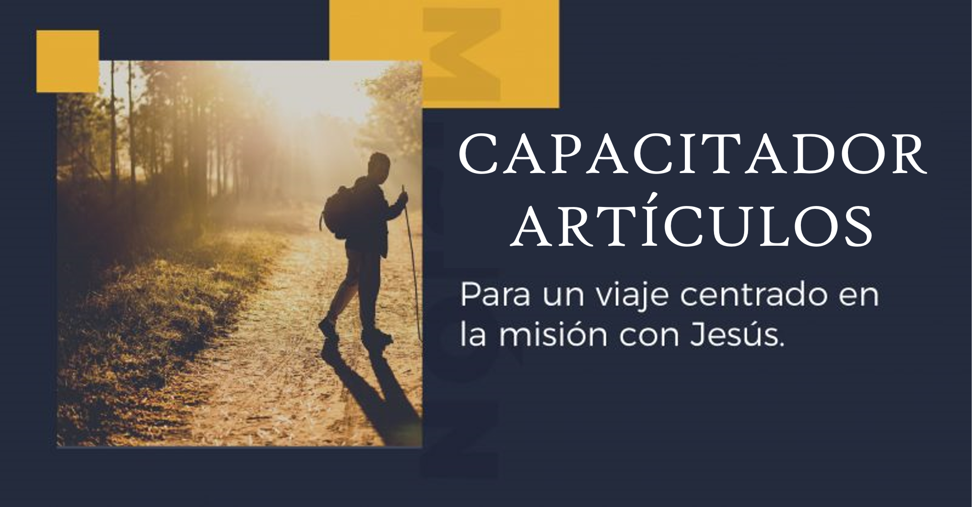 Capacitador Artículos